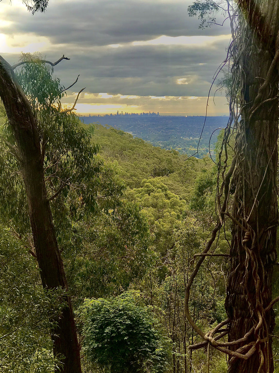 Simple Ways to Make Eco changes – Q y o r a